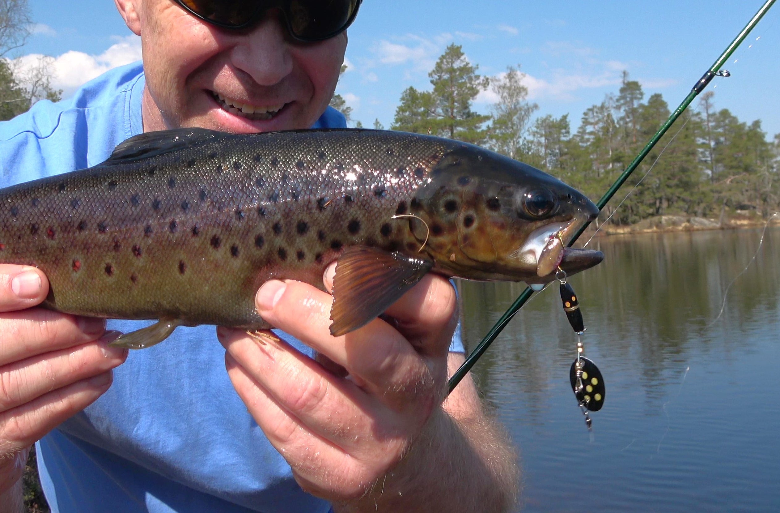 Trigger Bug svart/gull prikker- fishkingnorway